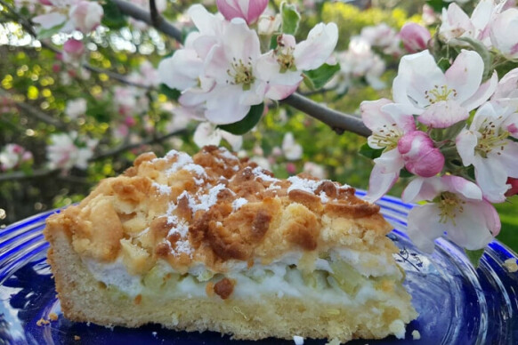 Vieglā un gaisīgā rabarberu kūka "Sapnis" | Mammamuntetiem.lv