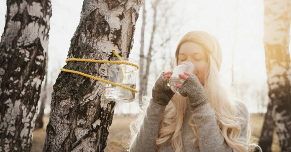 Vai bērzu sulas tiešām ir veselīgas? Atbild speciāliste | Mammamuntetiem.lv