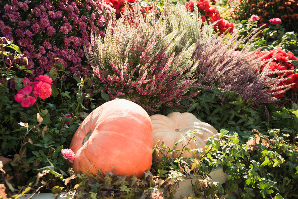 Šodien sākas astronomiskais rudens, bet daļā Latvijas jūtama vasara ...