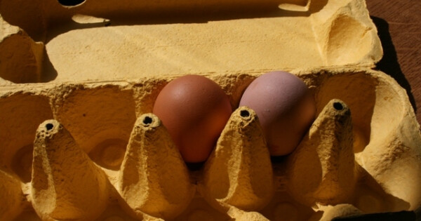 Piena zupa ar rīvētu kartupeļu un putraimu klimpām | Mammamuntetiem.lv