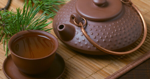 Apēd eglīti! Skujas skaistumam, veselībai un labsajūtai | Mammamuntetiem.lv